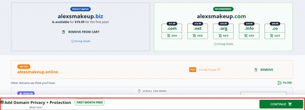 Should You Use a .BIZ Domain for Your Business Website?