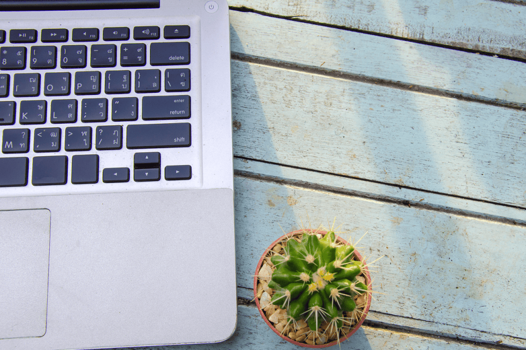 Buying a .ws Domain: Pros and Cons, How to Buy, FAQs