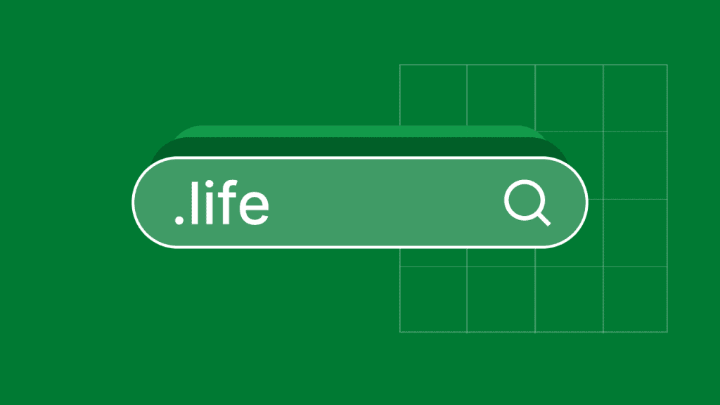 Buying a .life Domain: Pros and Cons, How to Buy, FAQs