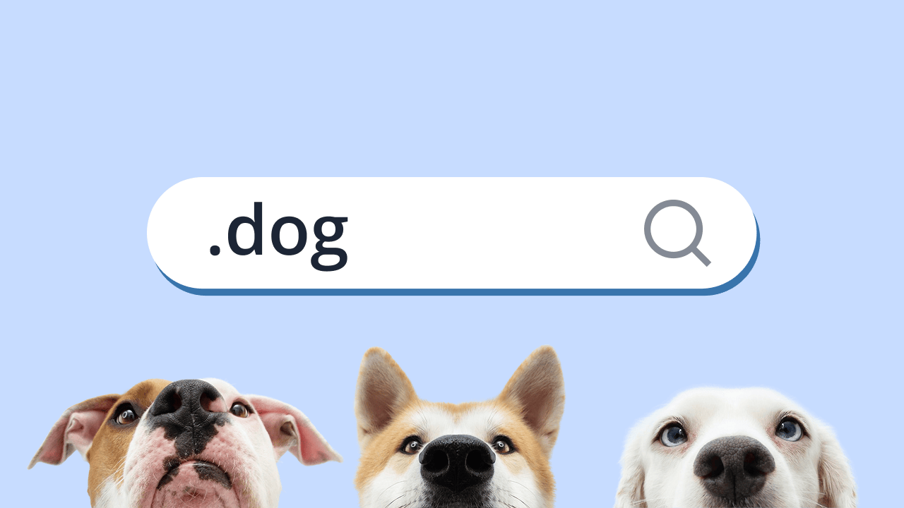 Buying a .dog Domain: Benefits, How to Buy, FAQs