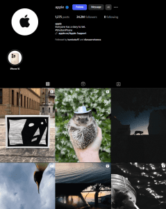 How to Build a Strong Visual Identity for Your Brand